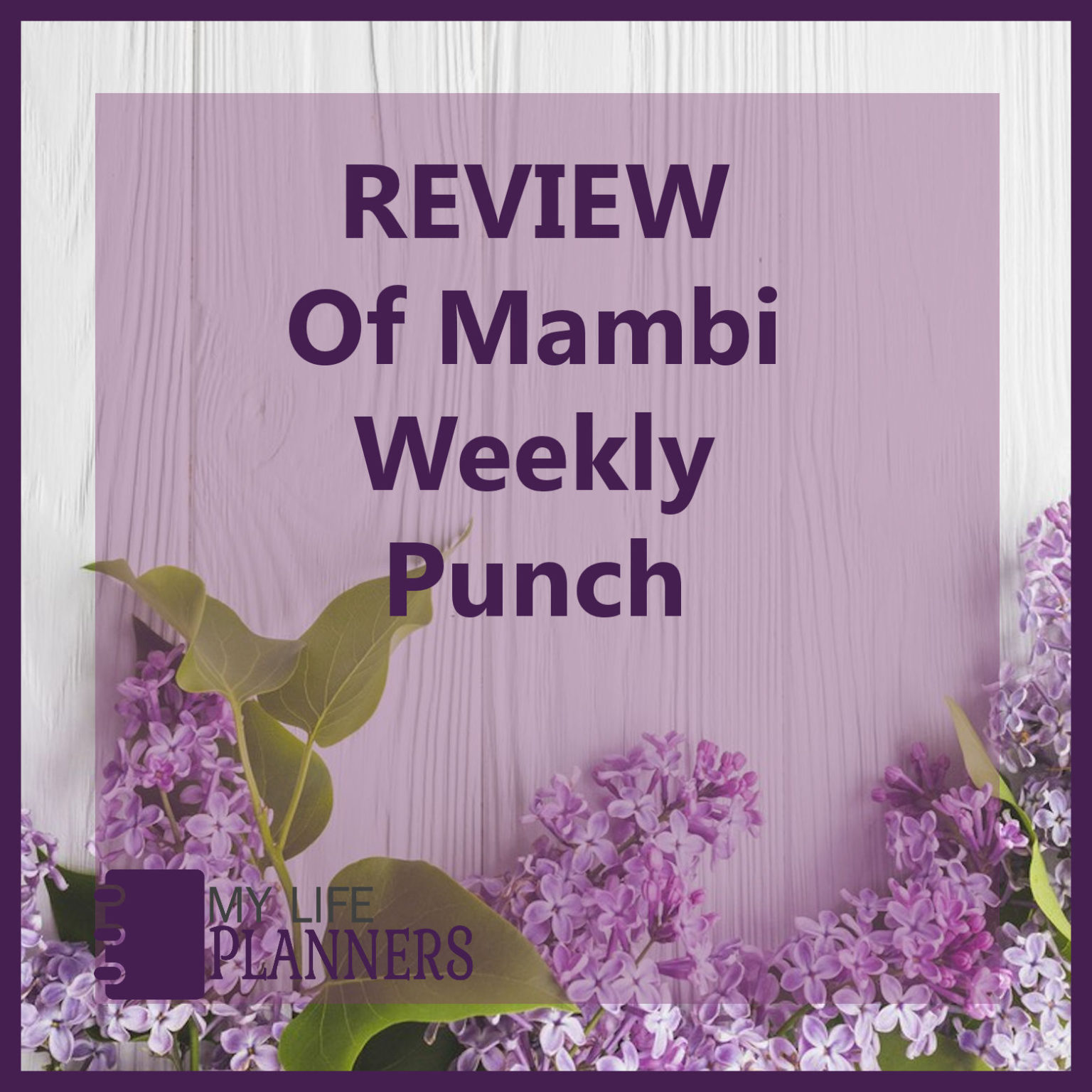 Review of MAMBI Weekly Box Punches